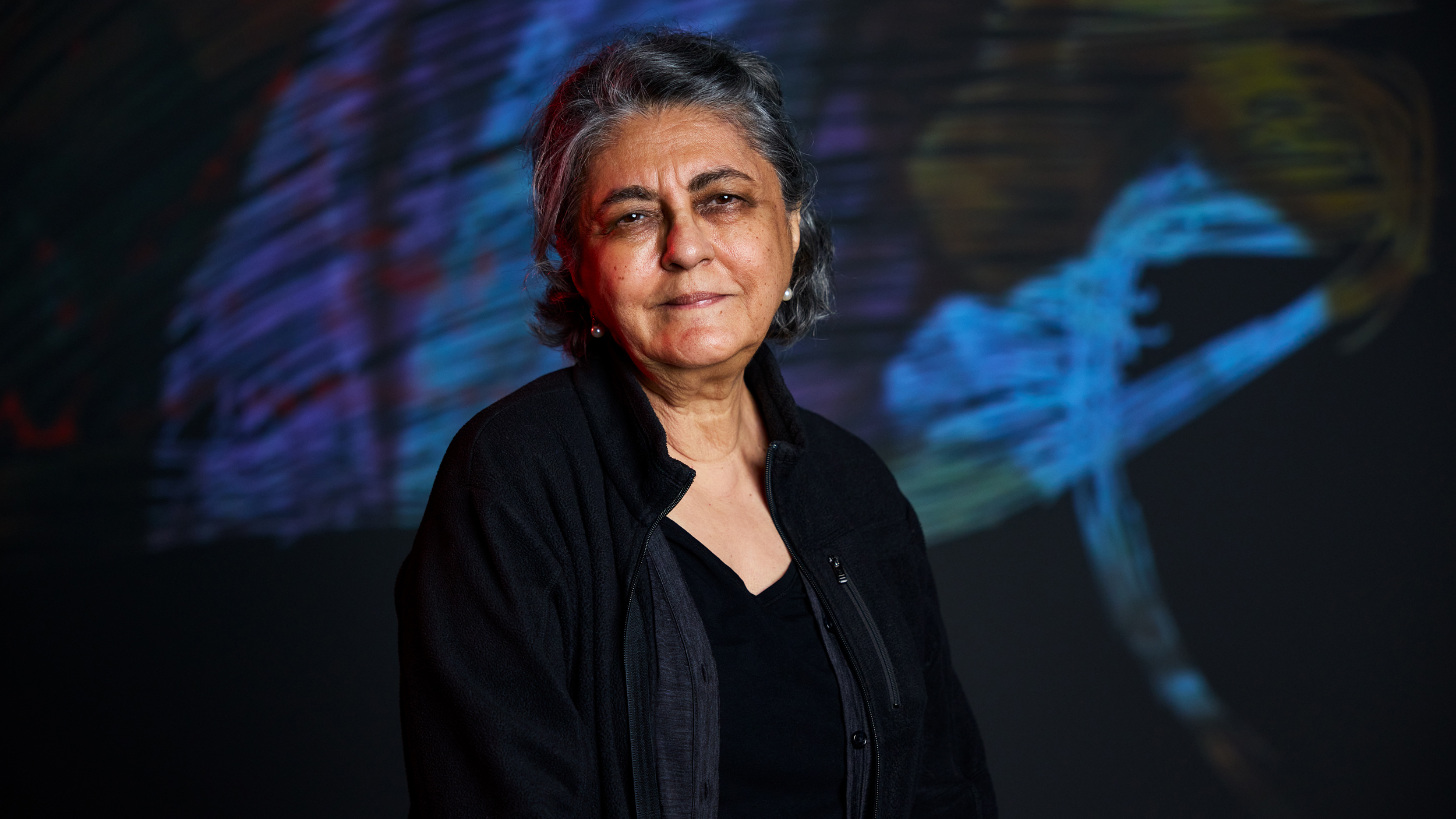 Nalini Malani: My Reality is Different | Press releases | National ...